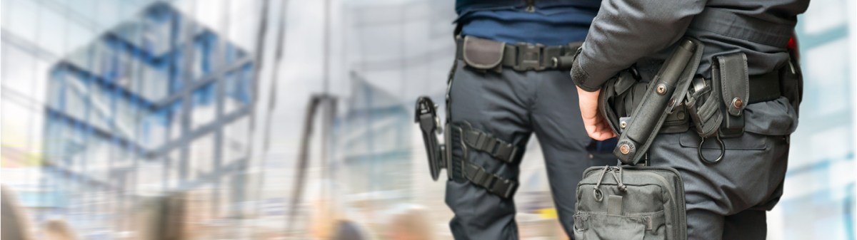 Idaho Security Group – Law enforcement professionals providing the ...